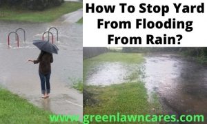 how to stop yard from flooding from rain? - Green Lawn Cares